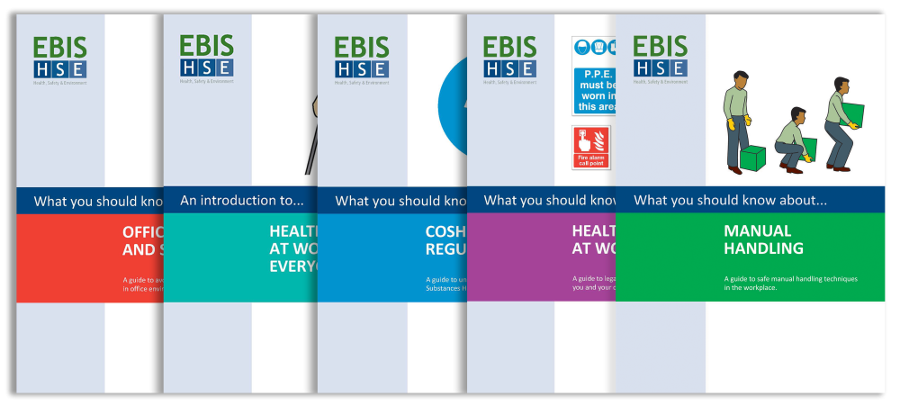 EBIS-HSE - Safety Manual Sample Pack - Manual