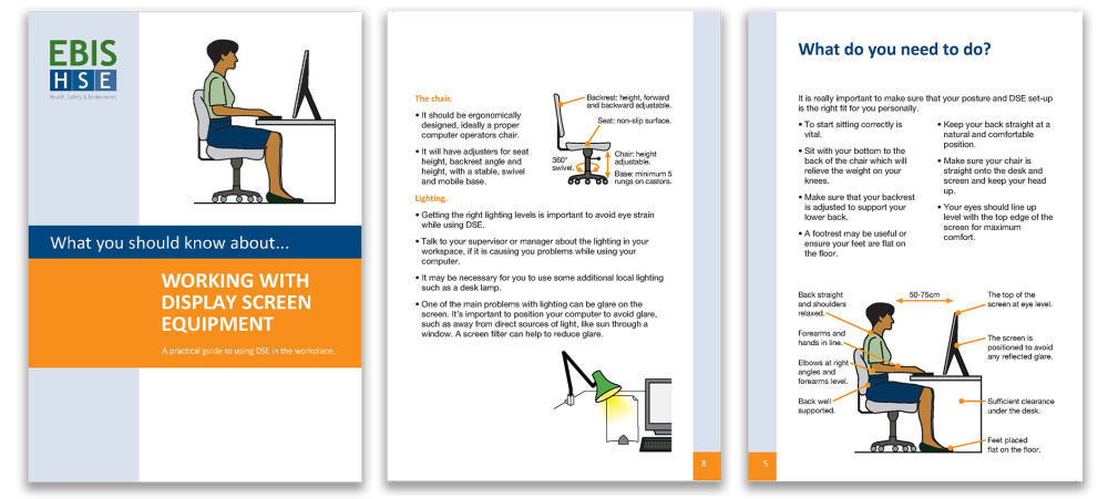 EBIS-HSE - Working with Display Screen Equipment - Manual